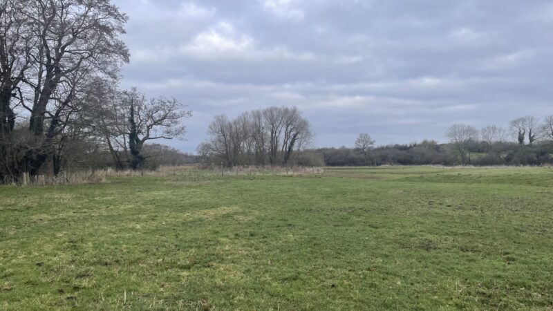 Rostons | We Specialise In Everything Rural Land, Property And Business